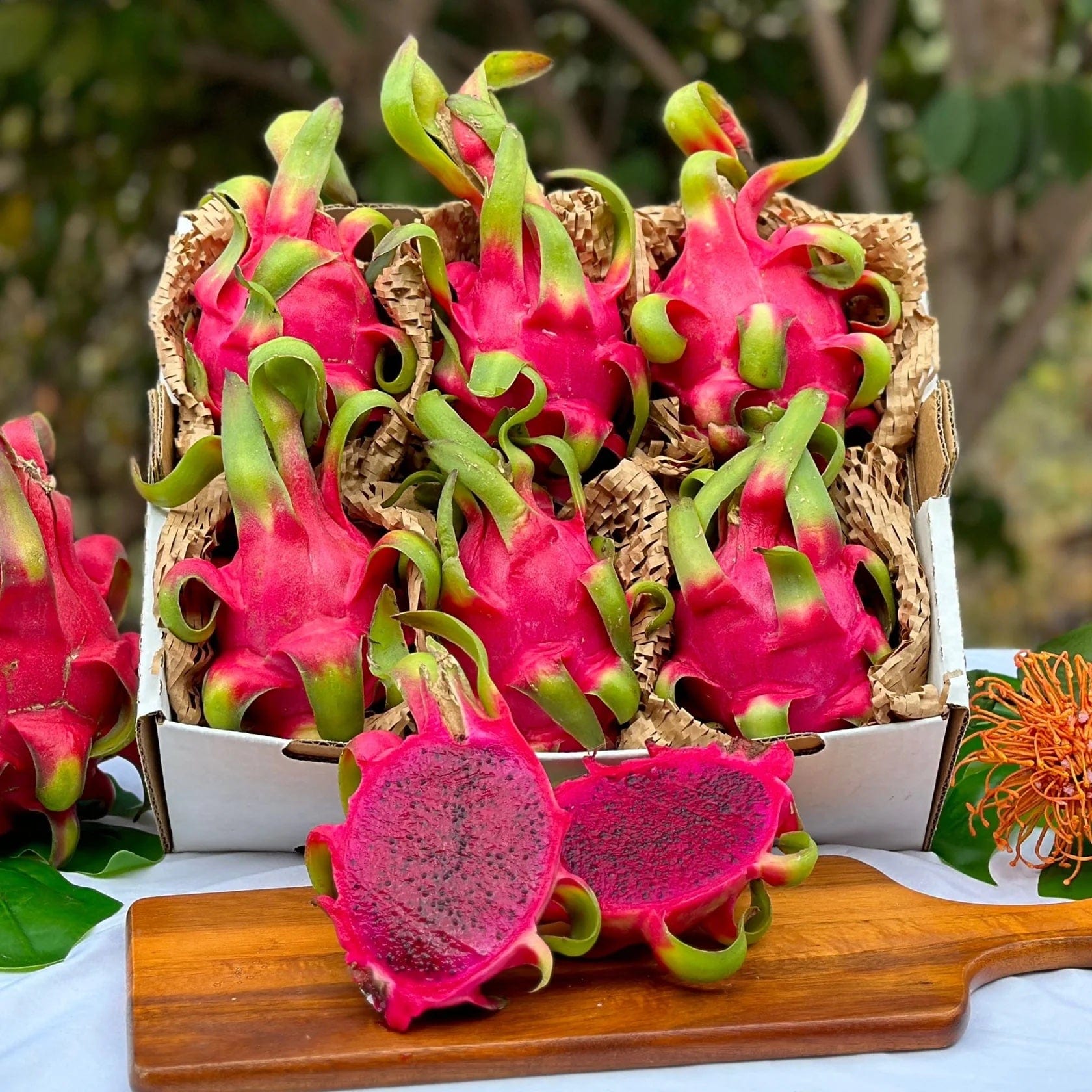 Mangosteen Fruit Box – Good Hill Farms