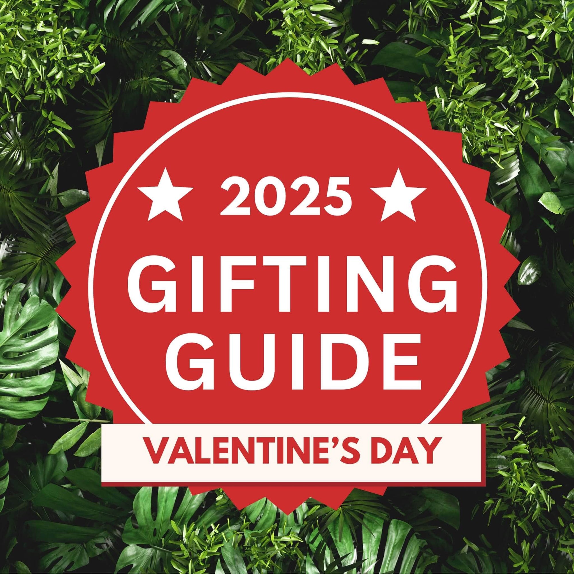 Fresh Yellow Dates (Khalal Barhi) – Good Hill Farms