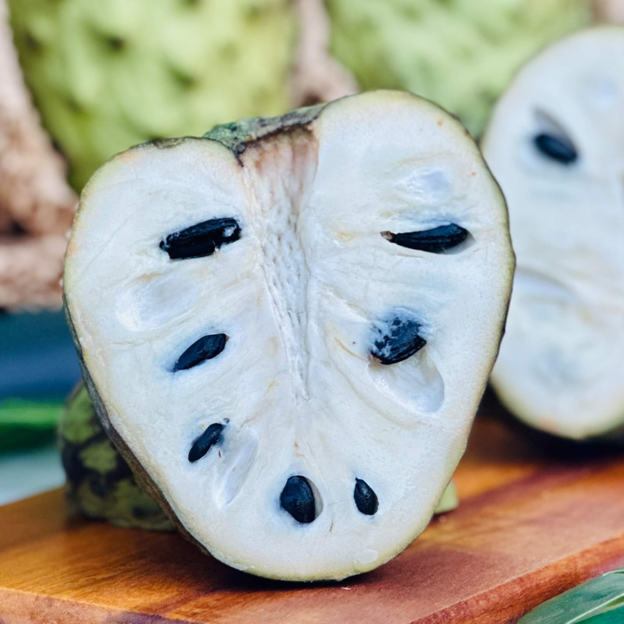 Cherimoya – Good Hill Farms