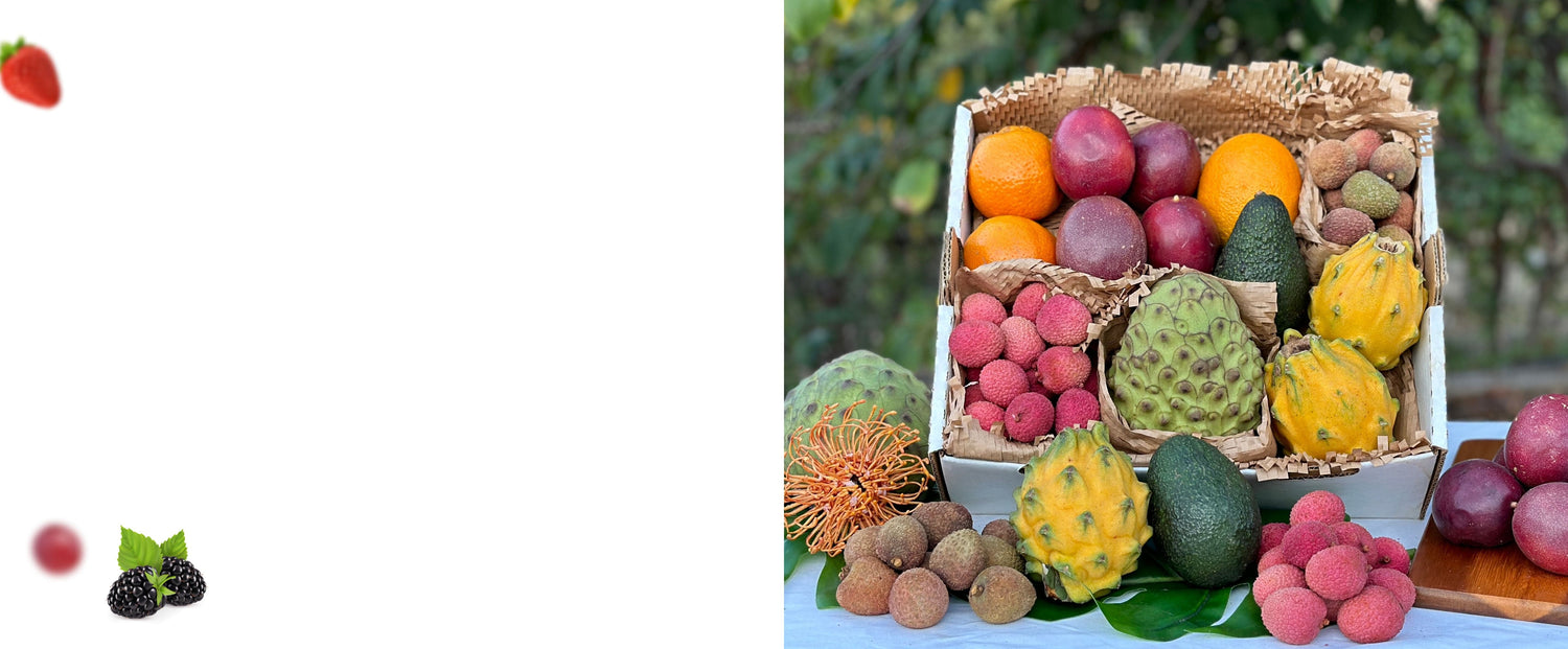 Fresh Exotic Fruit! | Grown Local & Delivered Fast | Good Hill Farms